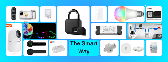The Smart Way – The Smart Way (Pty) Ltd