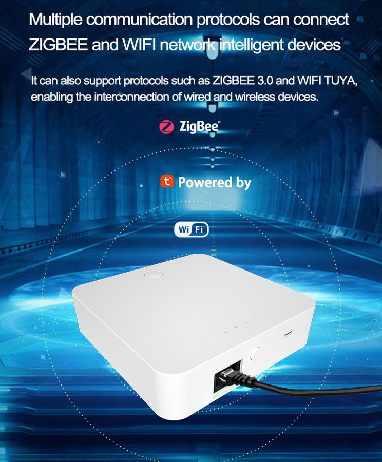 Zigbee Gateway with LAN – The Smart Way (Pty) Ltd